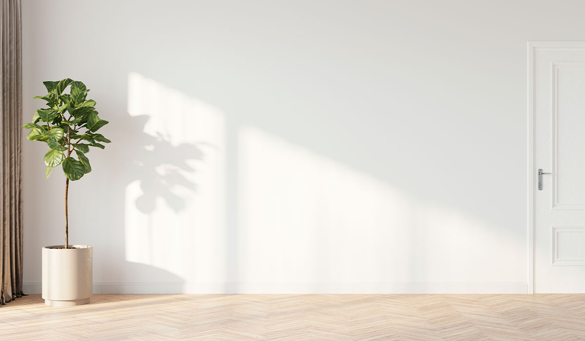 Bolsa Home Stagers - aphs